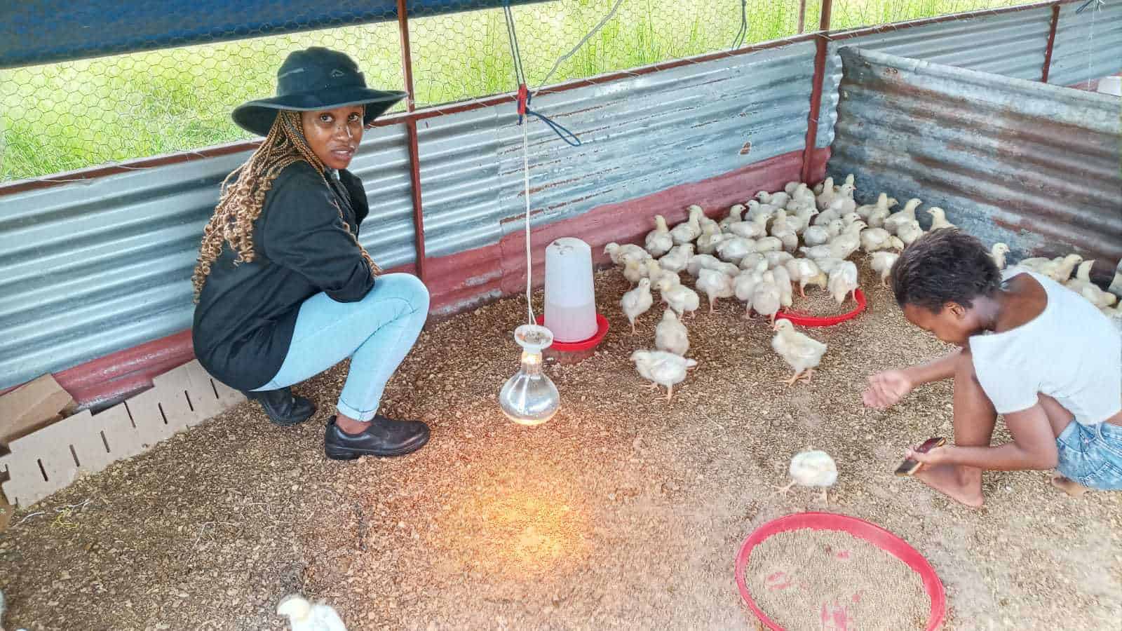 66 Female Muscovy Duck Photos And Premium High Res Pictures Getty ...