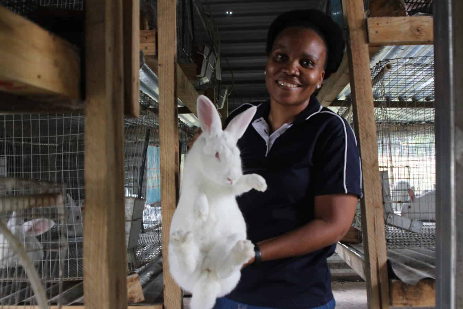 Side hustle: How lab technician thrives in rabbit farming