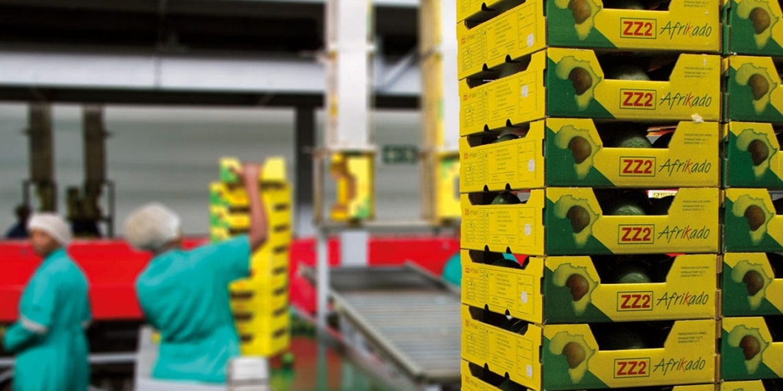 Limpopo celebrates new world-class avocado packhouse