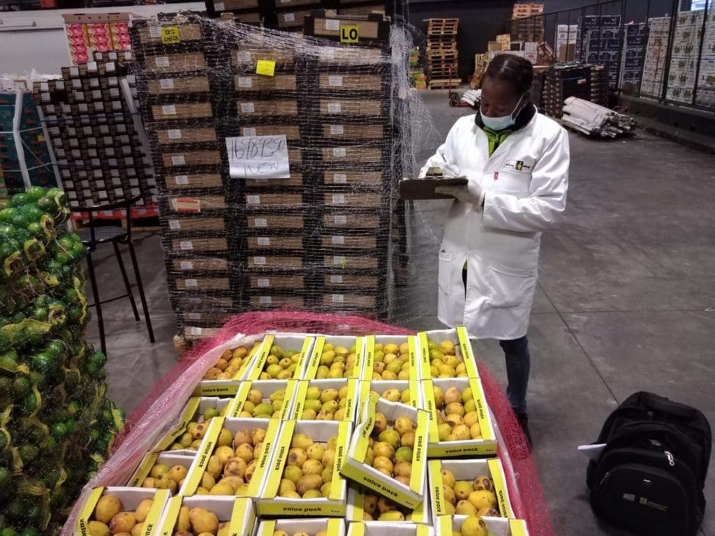 The farmer’s guide to supplying fresh produce to markets - Food For Mzansi