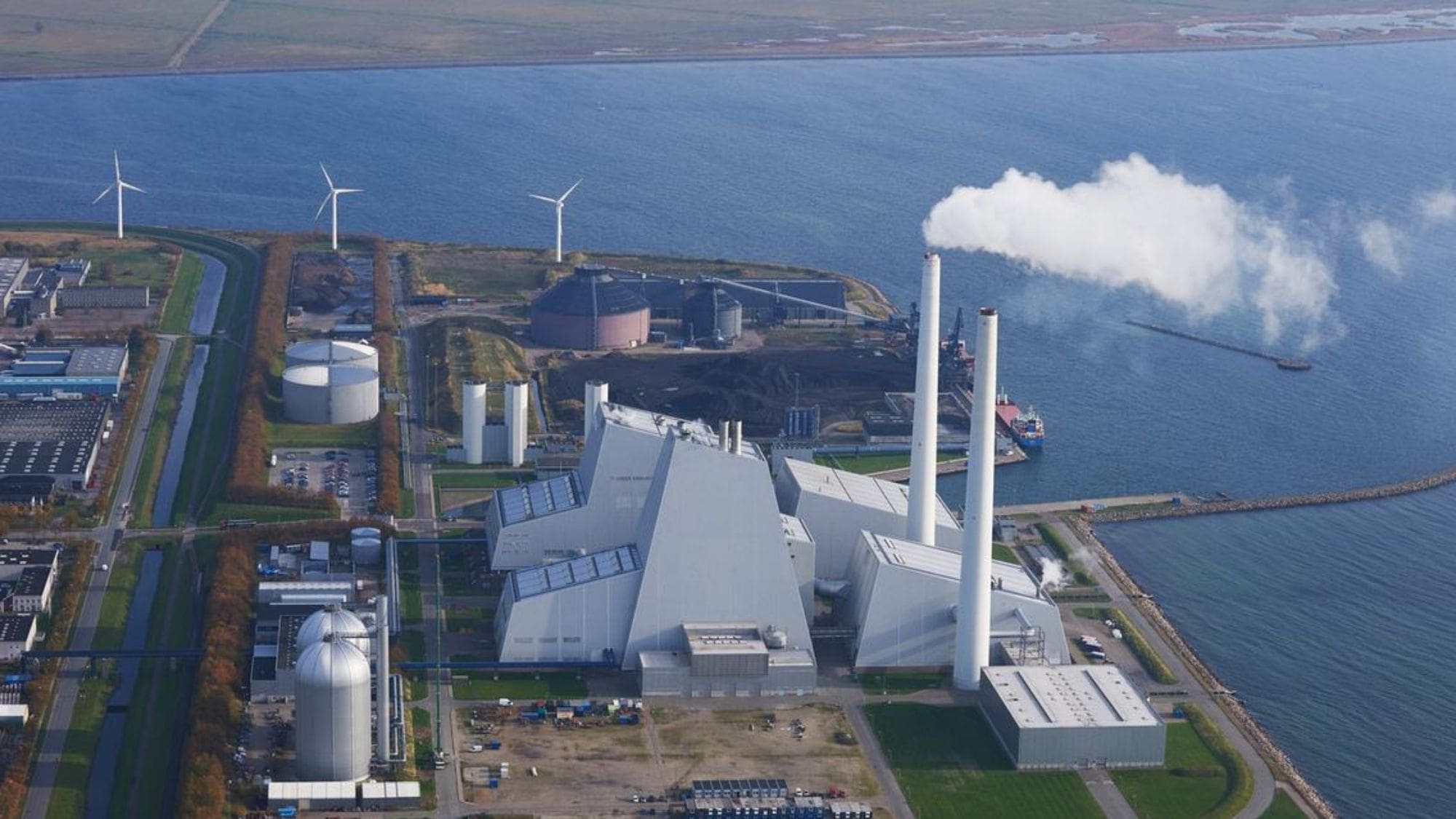 Boegoebaai harbour a bit fishy, fear small-scale fishers - Food For Mzansi