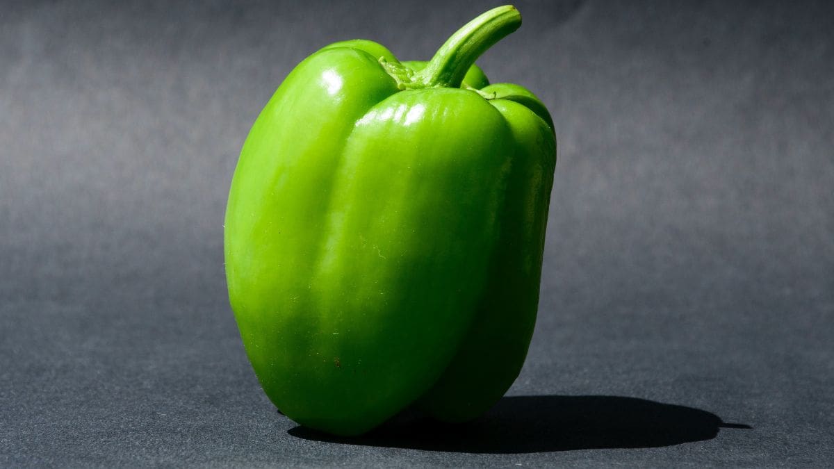 Five top tips for farming with peppers - Food For Mzansi