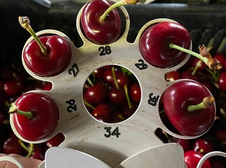 How to put the cherry on top of your production - Food For Mzansi