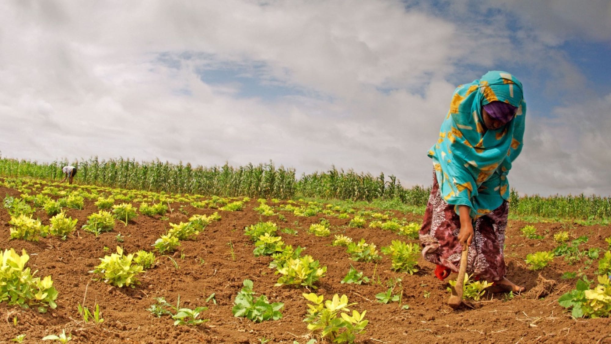 Somalia: ‘Pull people from the brink of famine’ - Food For Mzansi