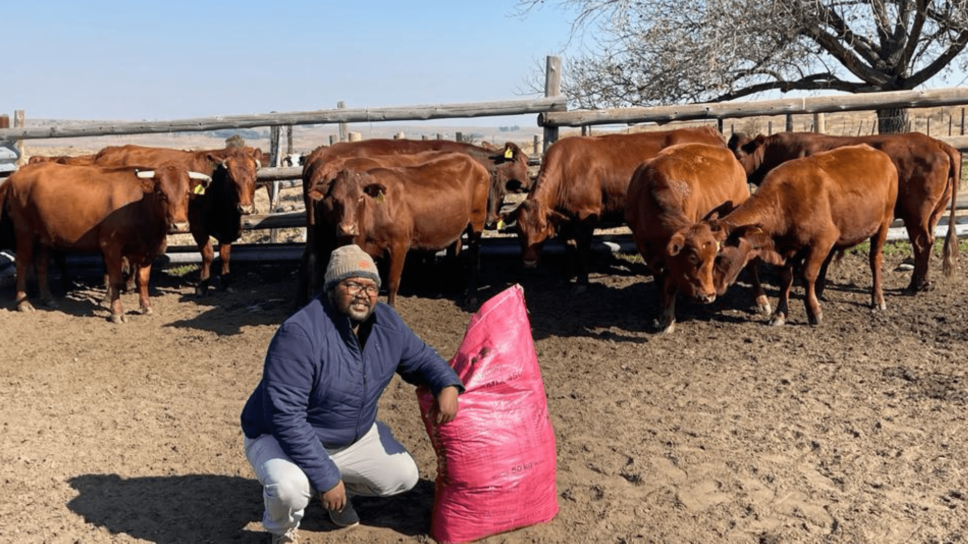 Mokatsane credits Voermol Premix 450 for thriving livestock - Food For ...