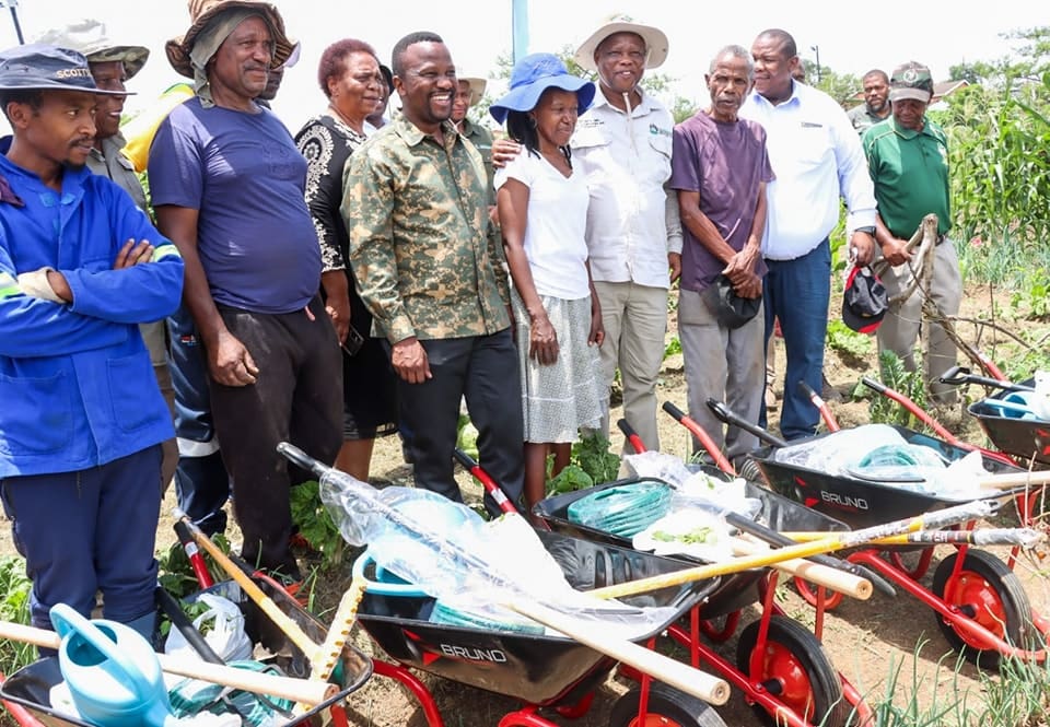 ICYMI: KZN agri dept goes big with livestock programme - Food For Mzansi