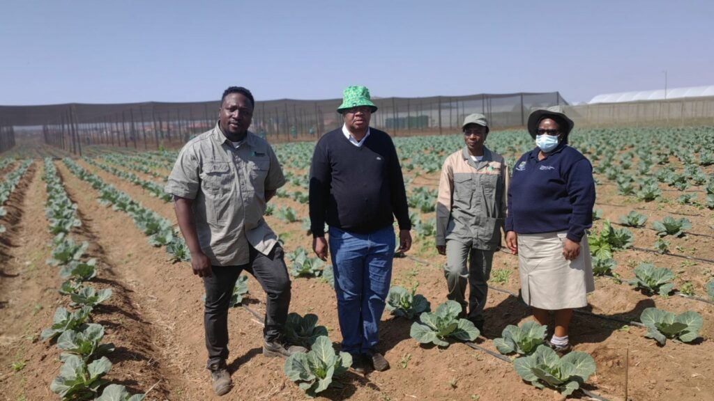 Limpopo farmer Thosago grows big dreams from small seeds - Food For Mzansi