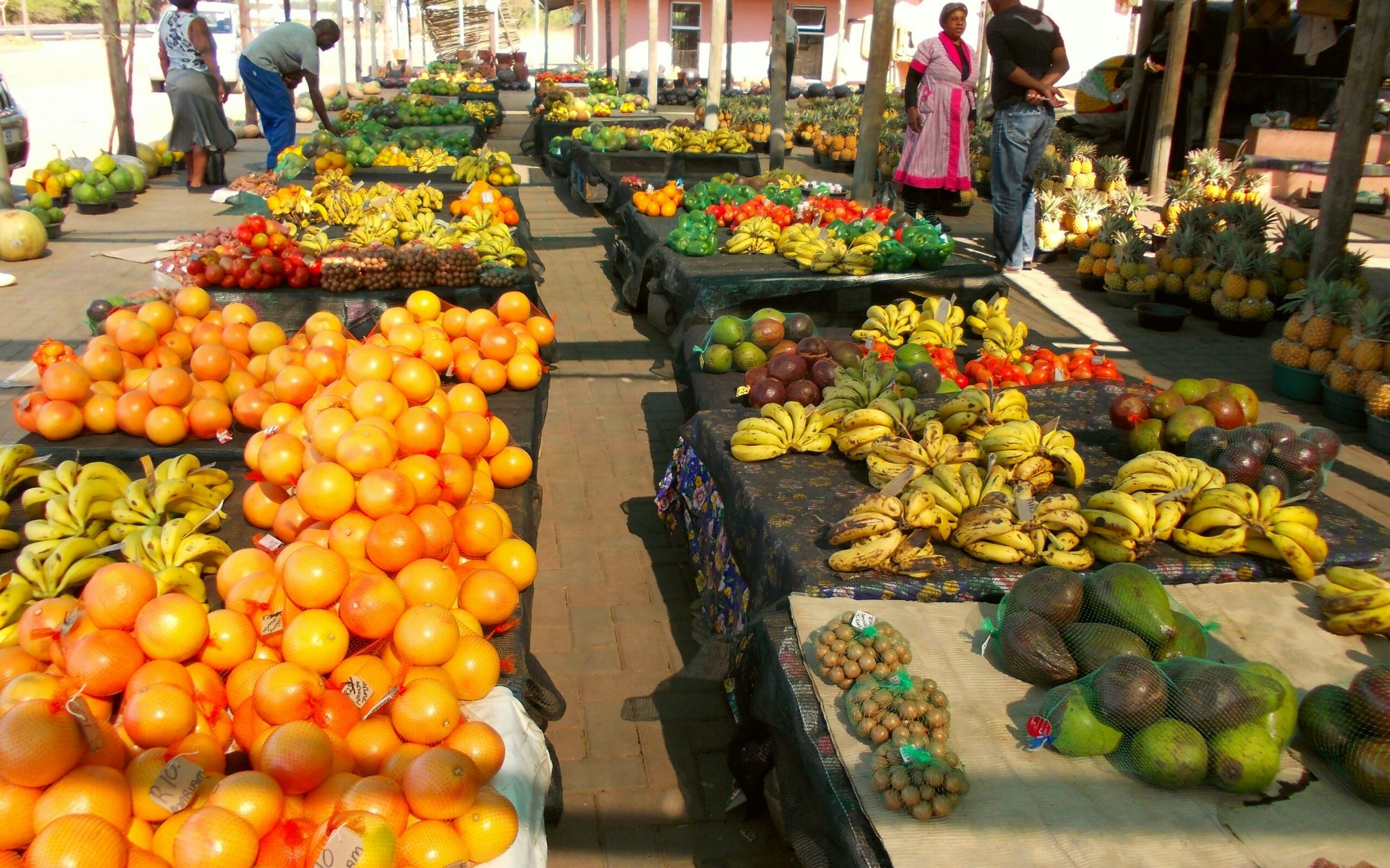 Ripe for change: Fruit SA sets juicy transformation goals - Food For Mzansi
