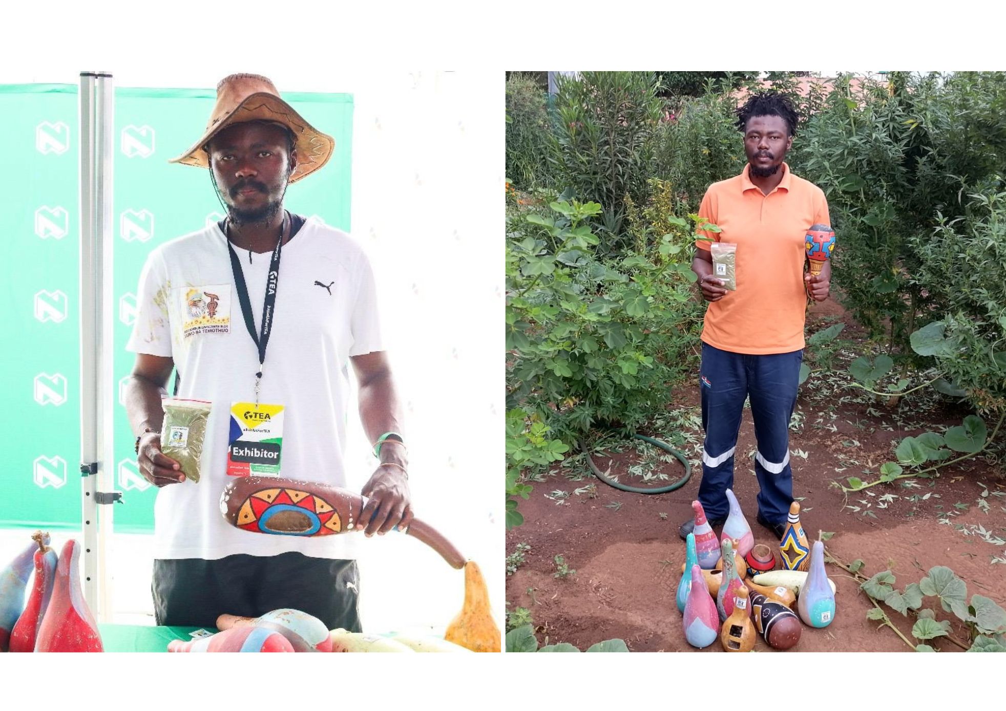 Farming with indigenous crops brings Pabalelo healing - Food For Mzansi