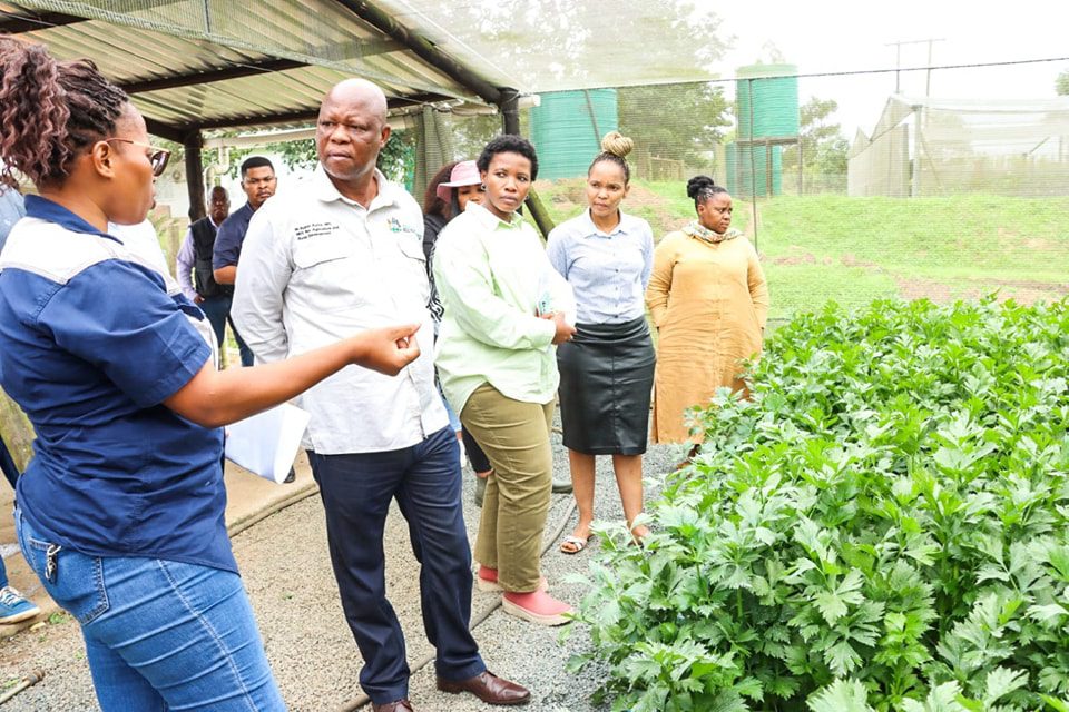 In pictures: KZN farmer rises and rebuilds after losing millions - Food ...