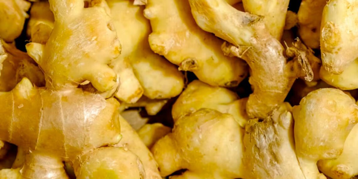 Mycotoxins: How hazardous mould contaminate food staples - Food For Mzansi