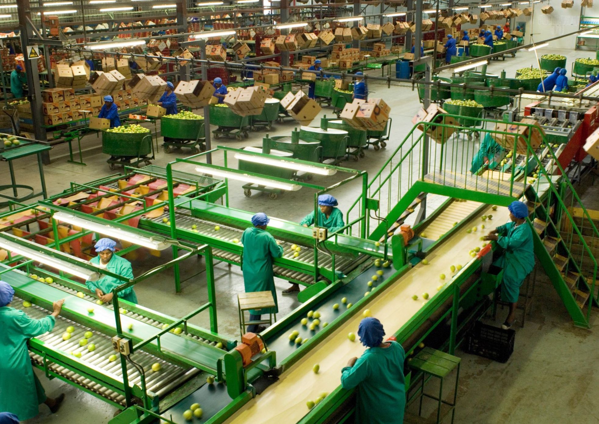 Beyond the farm: Seize untapped potential in agro-processing - Food For ...