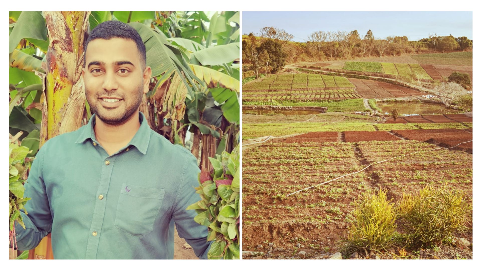 Amaranth ambitions: Naidoo builds empire on KZN hilltop - Food For Mzansi