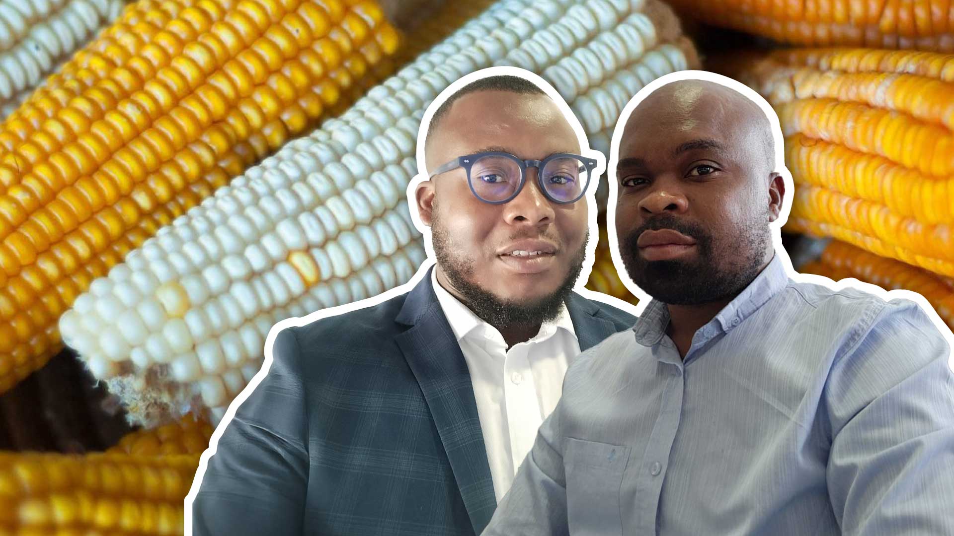 Soil moisture insurance: A lifeline for small-scale maize farmers ...