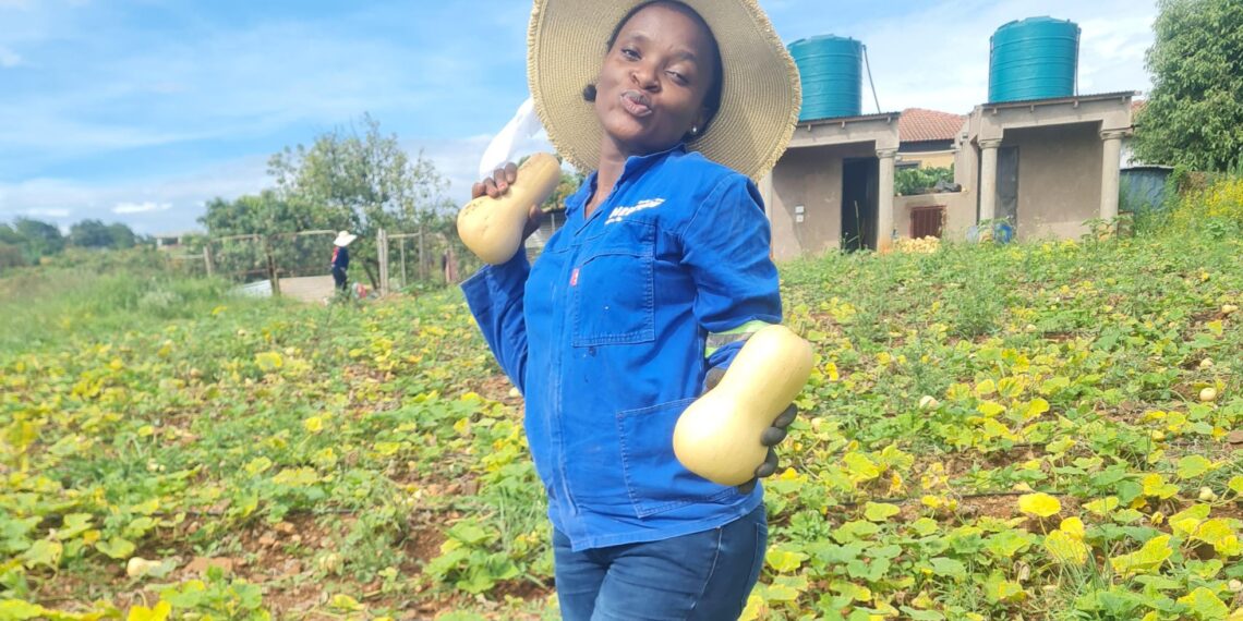 Graduate to grower: Mashau fertilises farm dream on one hectare - Food ...