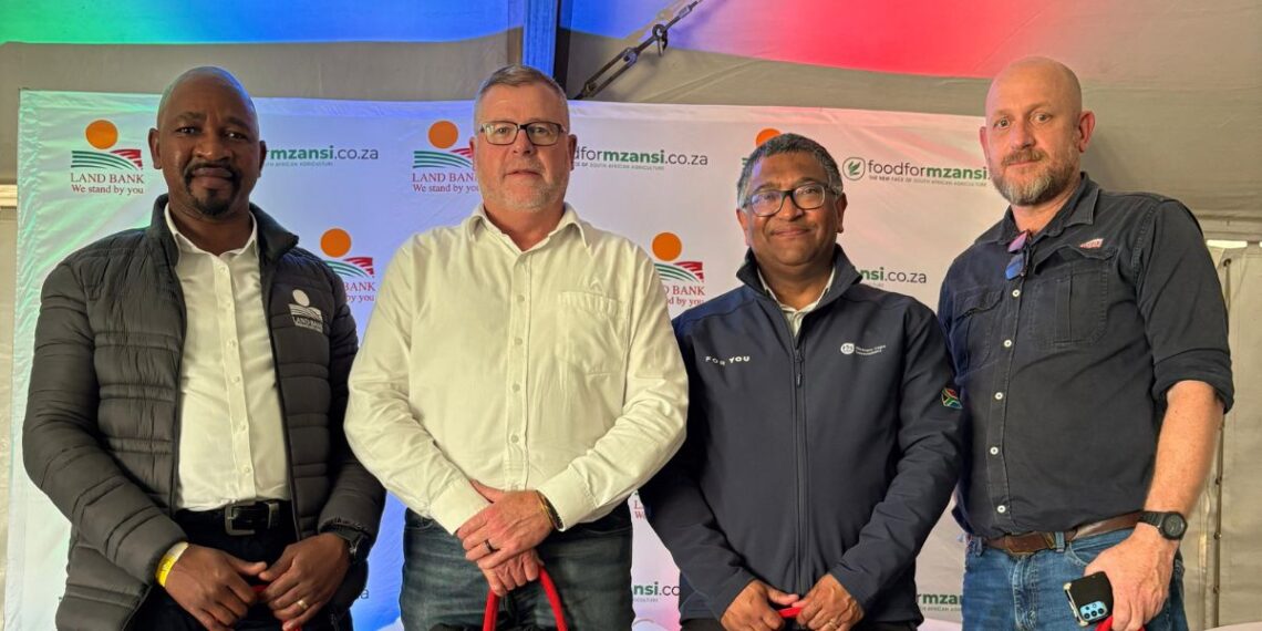 RECIPE: Local maize favourites Umdoko, Umqa and Maize Spiral Chips