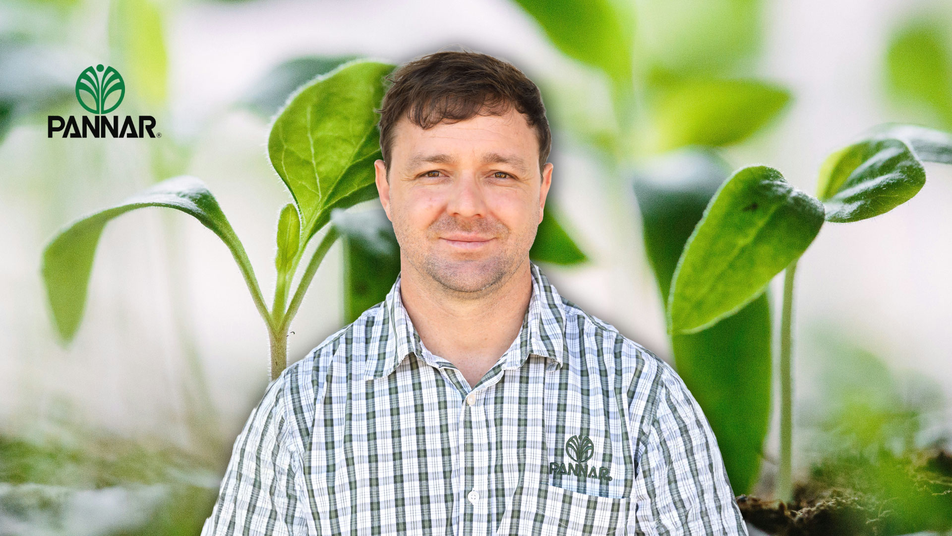 Pannar Seed’s Panagri tool turns farm data into profitable action ...