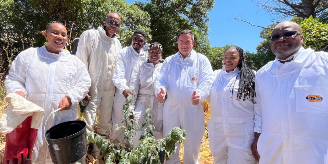 Beekeeping sector poised for growth, jobs, and sustainability - Food ...