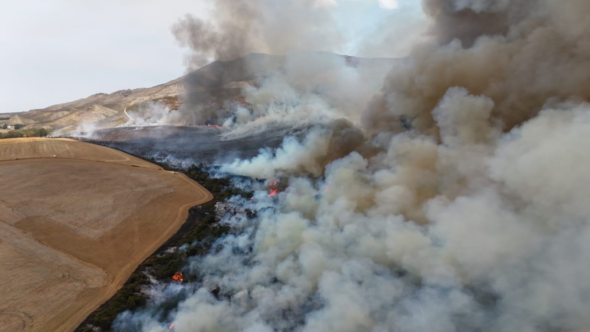 Western Cape fires destroy farmland and livelihoods - Food For Mzansi